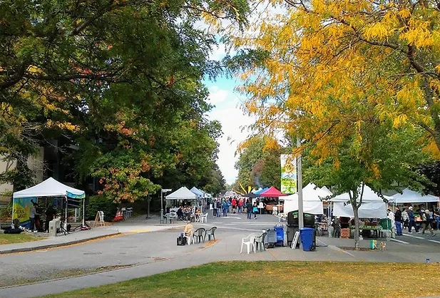 Search Homes For Sale In Kingsgate, WA